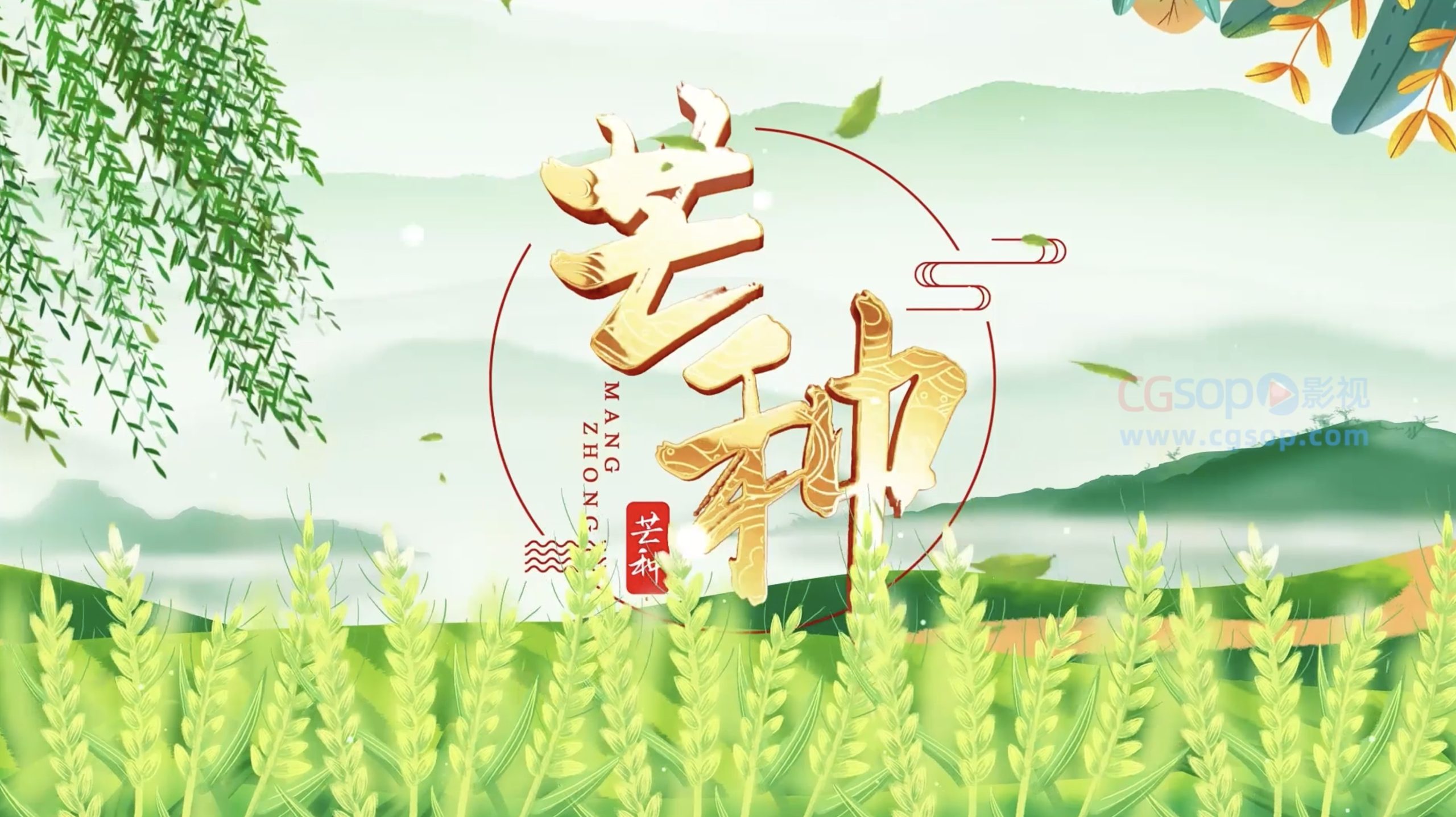 二十四节气之芒种宣传AE模板 - 视频素材资源网 CGSOP.com